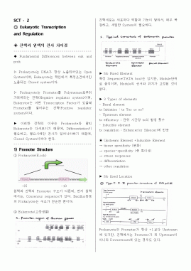 [줄기세포] SCT 시험노트정리-1페이지