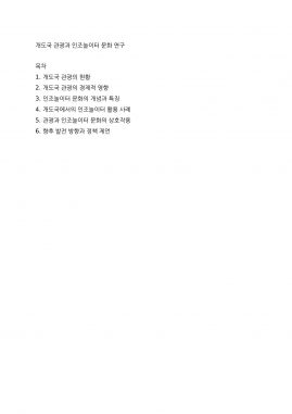 개도국 관광과 인조놀이터 문화 연구-1페이지