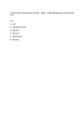 사회복지정책(사회보험,공공부조정책)중 택일해 정책분석틀(배분,공급,전달체게,재정) 분석-1페이지