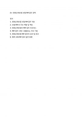 한화손해보험 보험RM업무 경력-1페이지