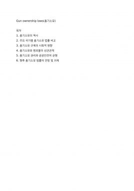 Gun ownership laws(총기소유)-1페이지