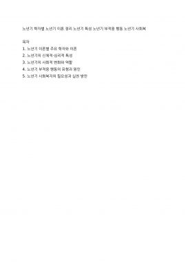 노년기 학자별 노년기 이론 정리 노년기 특성 노년기 부적응 행동 노년기 사회복-1페이지