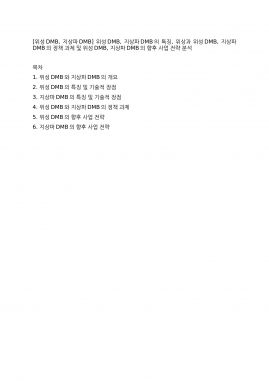 [위성DMB, 지상파DMB] 위성DMB, 지상파DMB의 특징, 위상과 위성DMB, 지상파DMB의 정책 과제 및 위성DMB, 지상파DMB의 향후 사업 전략 분석-1페이지