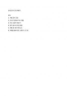 10일간의 인도여행기-1페이지