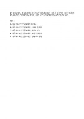 [자국어도메인, 한글도메인] 자국어도메인(한글도메인) 사용의 경쟁력과 자국어도메인(한글도메인) 제작의 이점, 제작의 유의점 및 자국어도메인(한글도메인) 관련 쟁점-1페이지