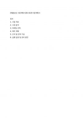 [매출상승 사업계획서]회사표준사업계획서-1페이지