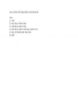청소년 문제 개인 중심이론과 사회 중심이론-1페이지