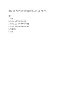 청소년 상업 적성 착취 문제와 해결방안 청소년과 상업 적성 착취-1페이지