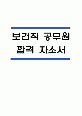 (보건직 공무원 자기소개서) 보건직 공무원 합격 자소서-1페이지