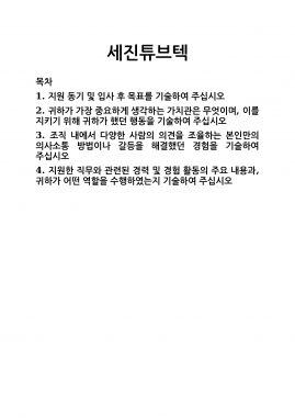 [기업 자기소개서] 세진튜브텍 합격 자기소개서 자소서-1페이지