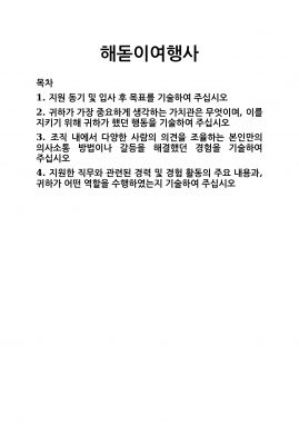 [기업 자기소개서] 해돋이여행사 합격 자기소개서 자소서-1페이지