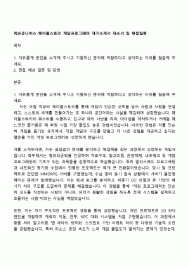 넥슨유니버스 메이플스토리 게임프로그래머 자기소개서 자소서 및 면접질문-1페이지