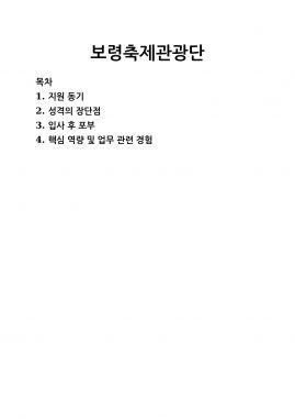 [자기소개서] 보령축제관광단  자기소개서 우수 예문 BEST 자소서-1페이지