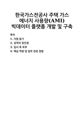 [자기소개서] 한국가스전공사 주택 가스 에너지 사용량(AMI) 빅데이터 플랫폼 개발 및 구축 자기소개서 우수 예문 BEST 자소서-1페이지