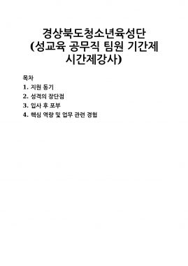 [자기소개서] 경상북도청소년육성단 (성교육 공무직 팀원 기간제 시간제강사)  자기소개서 우수 예문 BEST 자소서-1페이지