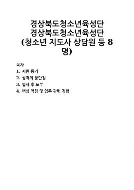 [자기소개서] 경상북도청소년육성단 경상북도청소년육성단 (청소년 지도사 상담원 등 8명)  자기소개서 우수 예문 BEST 자소서-1페이지