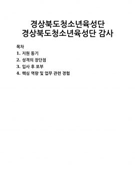 [자기소개서] 경상북도청소년육성단 경상북도청소년육성단 감사  자기소개서 우수 예문 BEST 자소서-1페이지