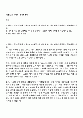 HL홀딩스 IT직무 자기소개서-1페이지