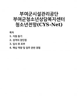 [자기소개서] 부여군시설관리공단 부여군청소년상담복지센터 청소년전망(CYS-Net)  자기소개서 우수 예문 BEST 자소서-1페이지