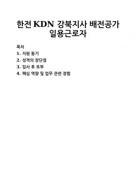 [자기소개서] 한전KDN 강북지사 배전공가 일용근로자  자기소개서 우수 예문 BEST 자소서-1페이지