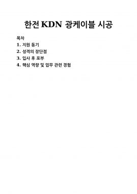 [자기소개서] 한전KDN 광케이블 시공 자기소개서 우수 예문 BEST 자소서-1페이지
