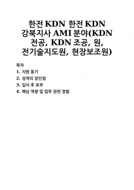 [자기소개서] 한전KDN 한전KDN 강북지사 AMI분야(KDN전공, KDN조공, 원, 전기술지도원, 현장보조원) 자기소개서 우수 예문 BEST 자소서-1페이지