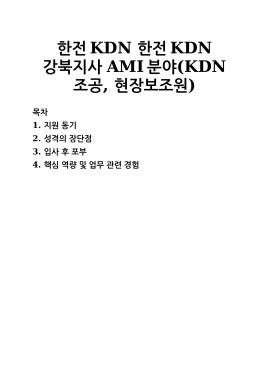 [자기소개서] 한전KDN 한전KDN 강북지사 AMI분야(KDN조공, 현장보조원) 자기소개서 우수 예문 BEST 자소서-1페이지