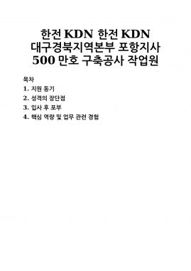 [자기소개서] 한전KDN 한전KDN 대구경북지역본부 포항지사 500만호 구축공사 작업원  자기소개서 우수 예문 BEST 자소서-1페이지