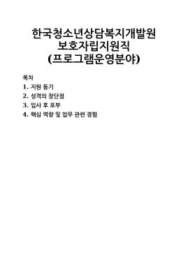 [자기소개서] 한국청소년상담복지개발원 보호자립지원직(프로그램운영분야) 자기소개서 우수 예문 BEST 자소서-1페이지