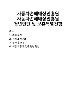 [자기소개서] 자동차손해배상진흥원 자동차손해배상진흥원 청년인턴 및 보훈특별전형  자기소개서 우수 예문 BEST 자소서-1페이지