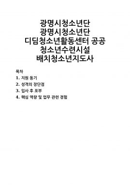 [자기소개서] 광명시청소년단 광명시청소년단 디딤청소년활동센터 공공 청소년수련시설 배치청소년지도사  자기소개서 우수 예문 BEST 자소서-1페이지