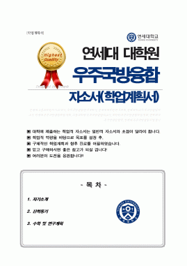 연세대학교 일반대학원 우주국방융합 협동과정 학업계획서-1페이지