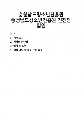 [자기소개서] 충청남도청소년진흥원 충청남도청소년진흥원 전전담 팀원 자기소개서 우수 예문 BEST 자소서-1페이지