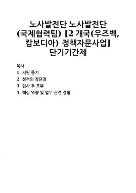 [자기소개서] 노사발전단 노사발전단(국제협력팀) [2개국(우즈벡, 캄보디아) 정책자문사업] 단기기간제  자기소개서 우수 예문 BEST 자소서-1페이지