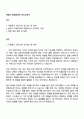 카페스 안전관리자 자기소개서-1페이지