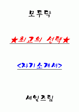 모두닥 세일즈팀 자기소개서-1페이지