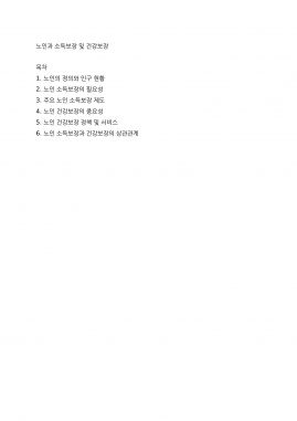 노인과 소득보장 및 건강보장-1페이지