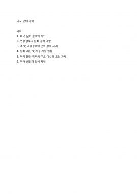 미국 문화 정책-1페이지