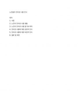 노인들의 인터넷 사용 인식-1페이지