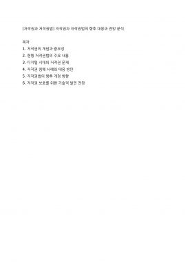 [저작권과 저작권법] 저작권과 저작권법의 향후 대응과 전망 분석-1페이지