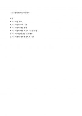 미디어법의 문제는 무엇인가-1페이지