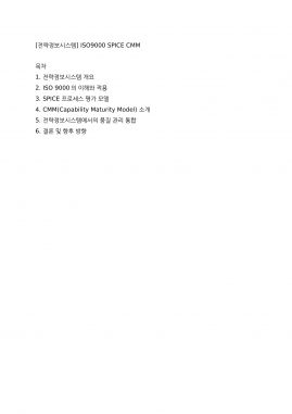 [전략정보시스템] ISO9000 SPICE CMM-1페이지