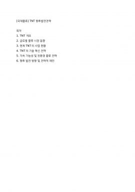 [국제물류] TNT 향후발전전략-1페이지