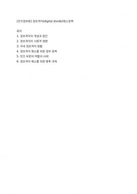 [전자정부론] 정보격차(digital divide)해소정책-1페이지