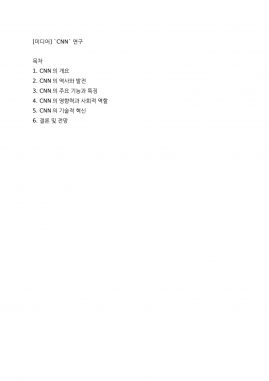 [미디어] `CNN` 연구-1페이지