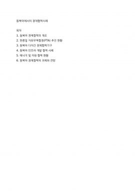 동북아에서의 경제협력사례-1페이지