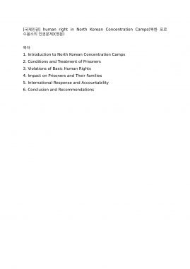 [국제인권] human right in North Korean Concentration Camps(북한 포로 수용소의 인권문제)(영문)-1페이지
