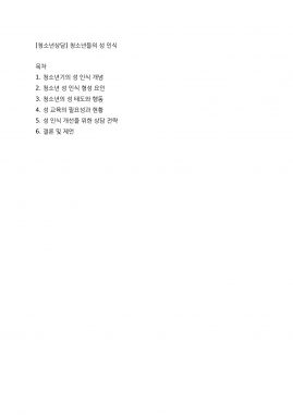 [청소년상담] 청소년들의 성 인식-1페이지