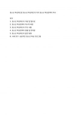 청소년 육성제도론 청소년 육성제도의 의의 청소년 육성정책의 역사-1페이지