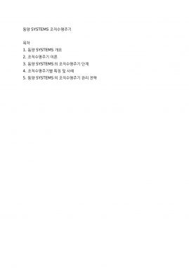 동양 SYSTEMS 조직수명주기-1페이지